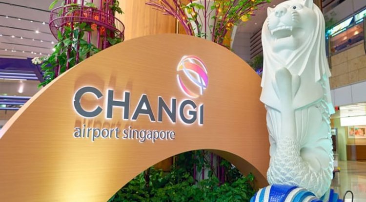 Do We Need Transit Visa to Change the Terminals 2 to 1 in Changi ...