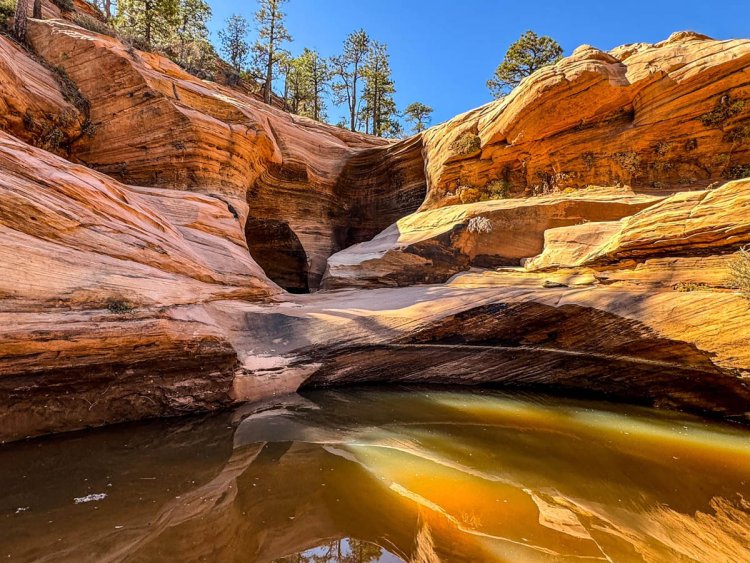 Exploring the Natural Wonder: Water Canyon Trail Travel Guide - The ...